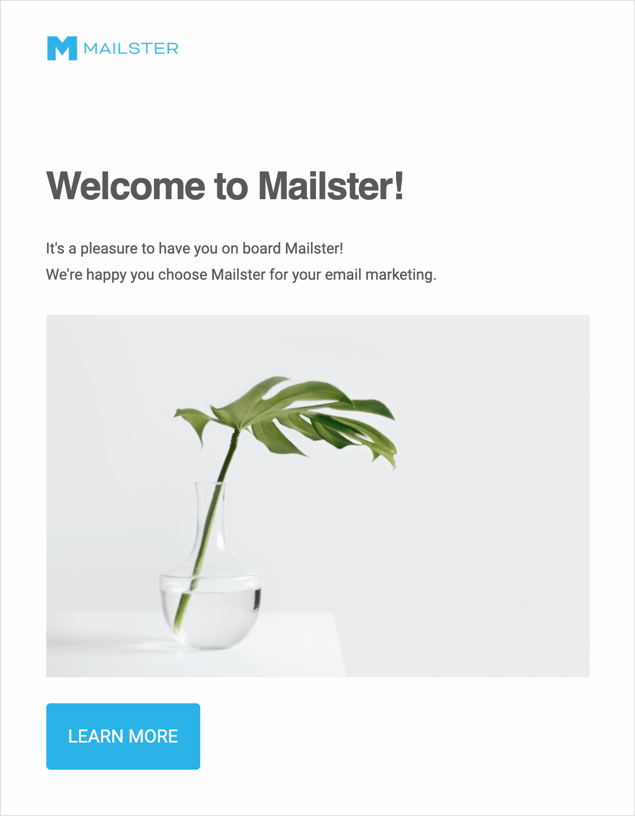 Send Beautiful Email Newsletters in WordPress.
