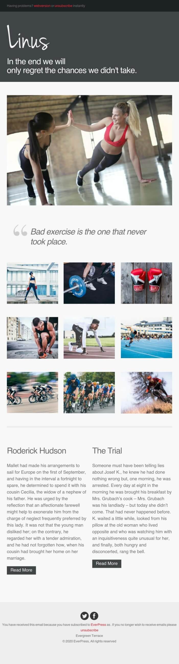 Linus • Email Template for Mailster.